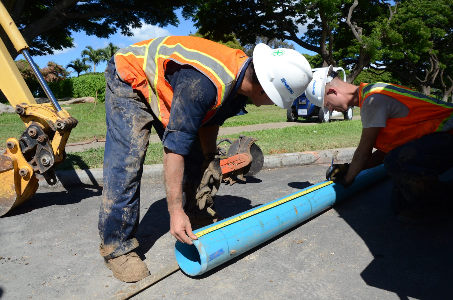 Plumber in High Park - Drain 1 - High Park Services
